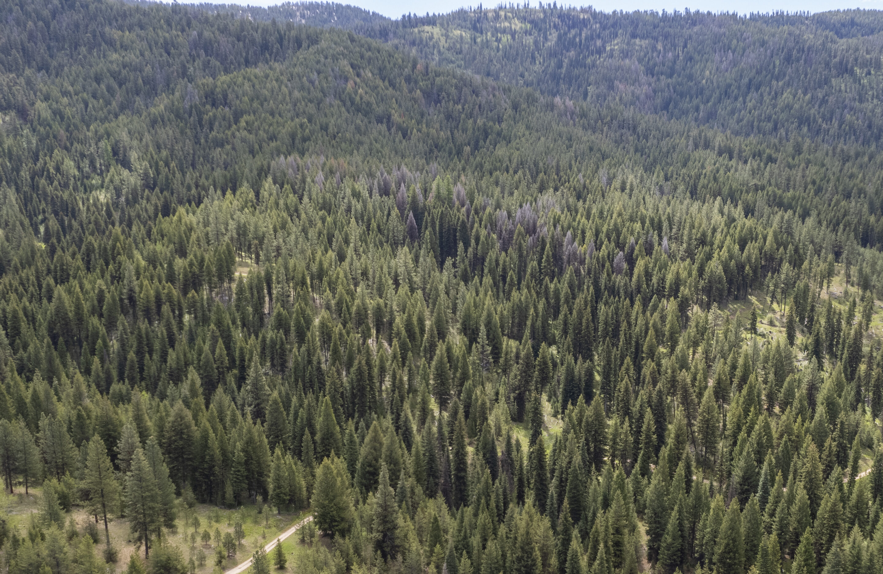 Legacy Creek Ranch - Tract 38 - Wilks Ranch Brokers