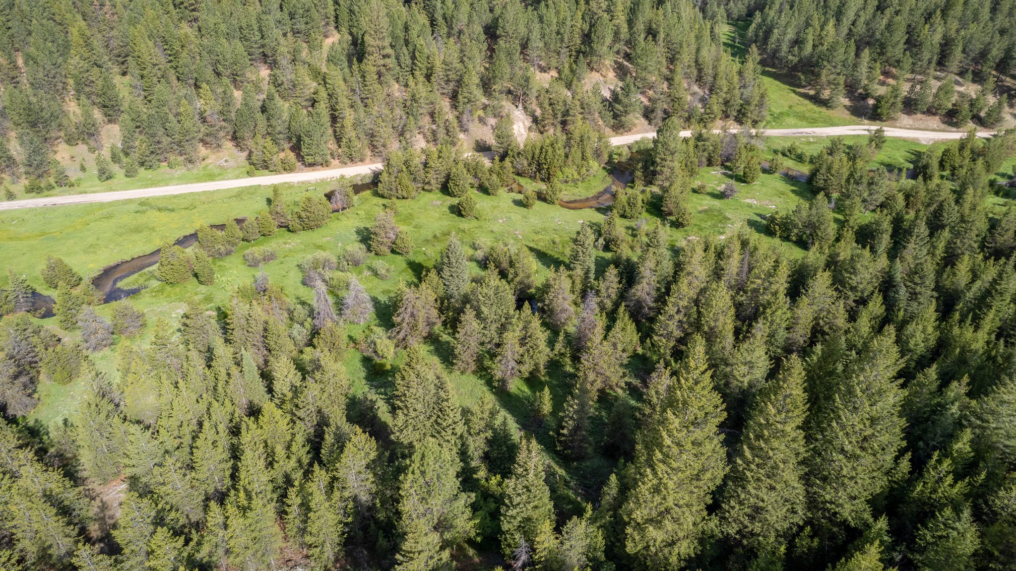 Legacy Creek Ranch - Tract 39 - Wilks Ranch Brokers