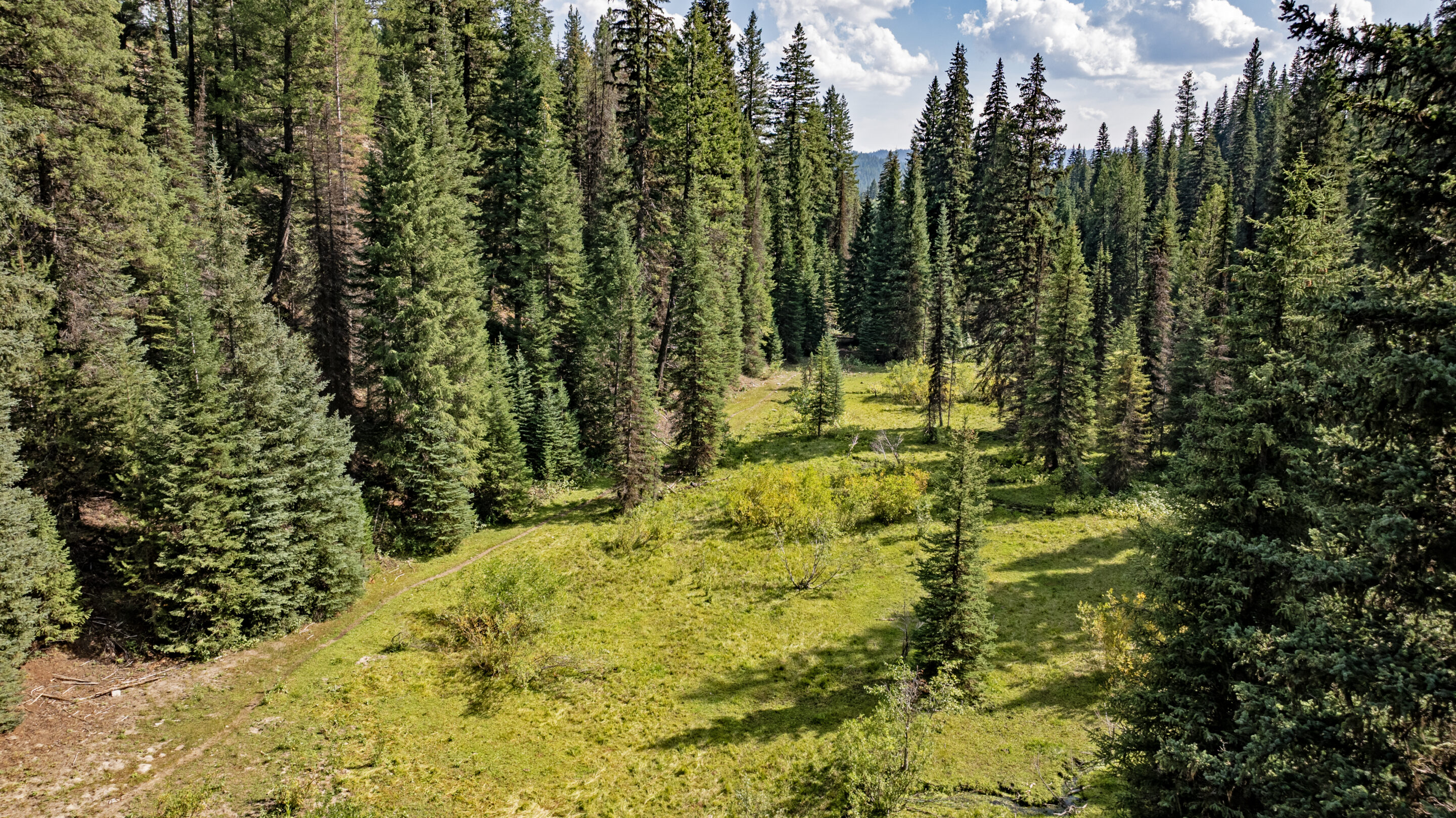 Little Squaw Creek Retreat 80 Acres for Sale in Valley County, ID ...